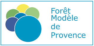 foret modele provence - Graine PACA | Education à l'Environnement